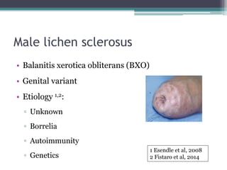 Premalignant penile lesions.pptx | Sexual Conditions | Sexual Health