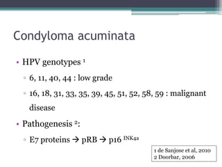 Premalignant penile lesions.pptx | Sexual Conditions | Sexual Health