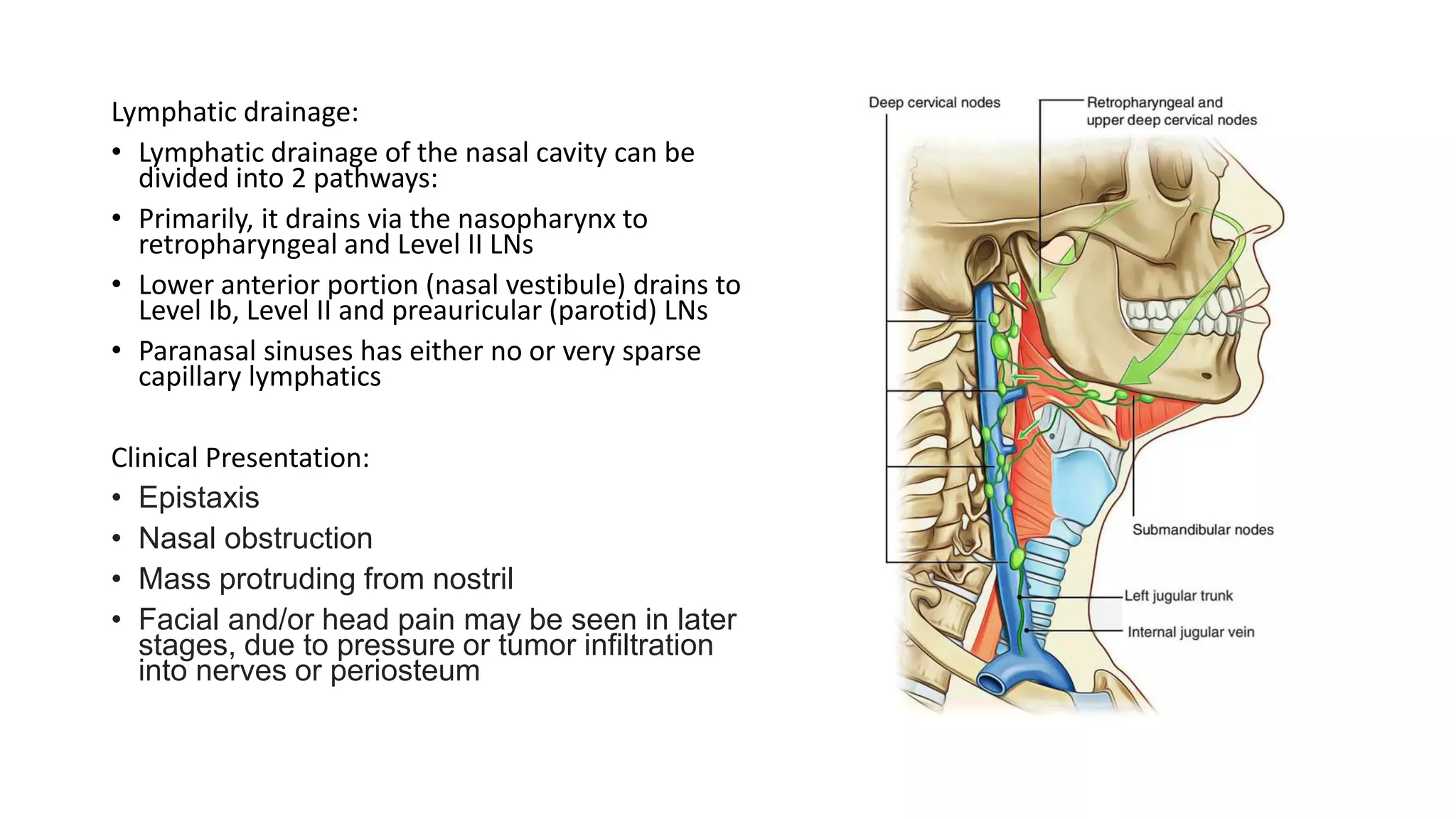 Pre management in Head and Neck Cancers.pptx