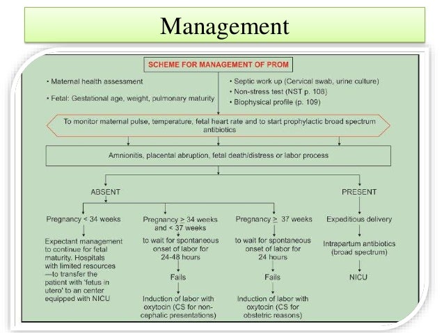 Premature rupture of membrane, case and Topic ll Dr.Jakia Akter