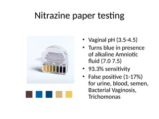 Premature Rupture of Membranes. - MBBS lecture pptx.pptx
