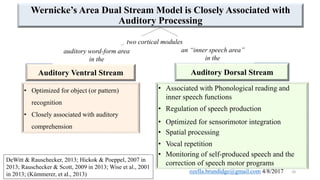 Prematurity affects the integrity of the dorsal and ventral streams | PPT
