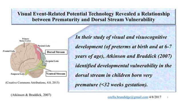 Prematurity affects the integrity of the dorsal and ventral streams | PPT