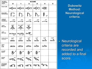PREMATURITY NEONATOLOGY.PPT