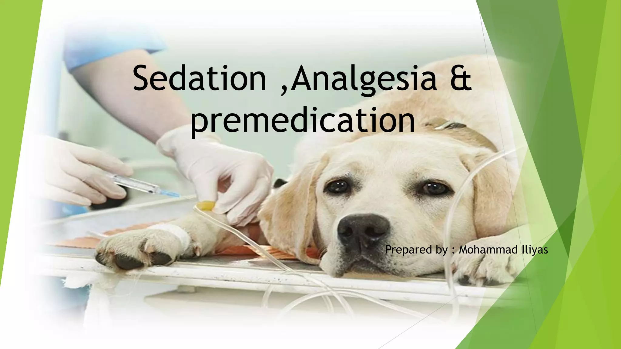 Premedication | PPTX