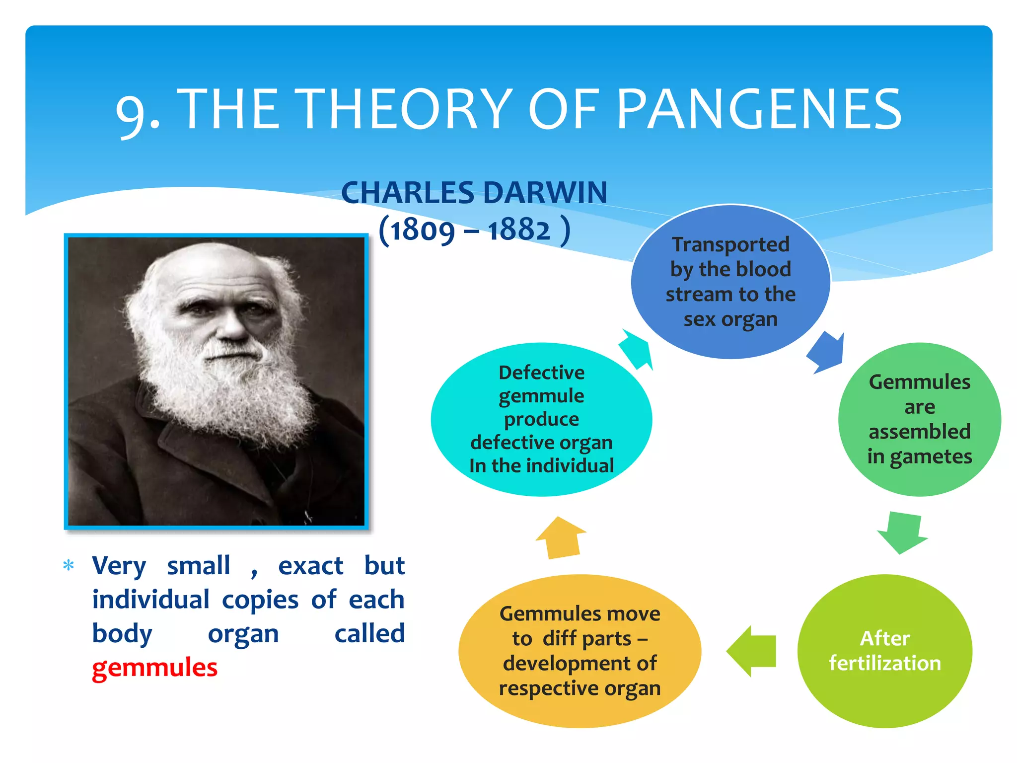 Pre mendalian ideas about heredity | PPTX