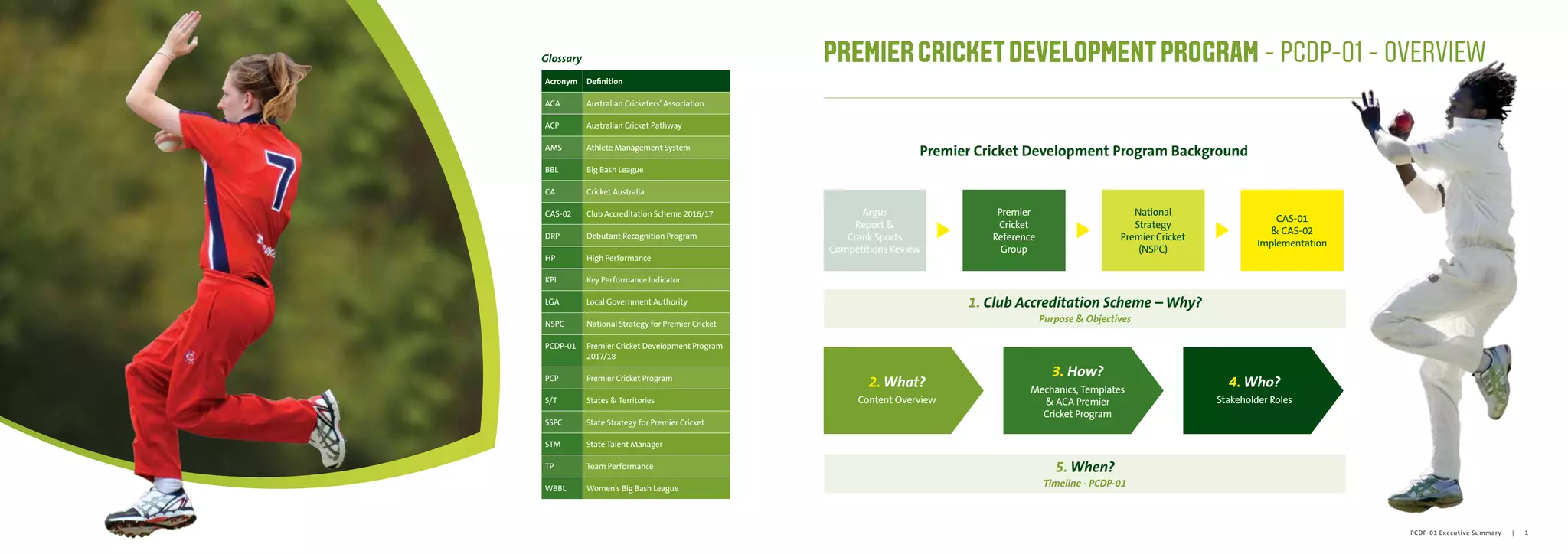 Premier Cricket Development Program 201718 Executive Summary FINAL.pdf