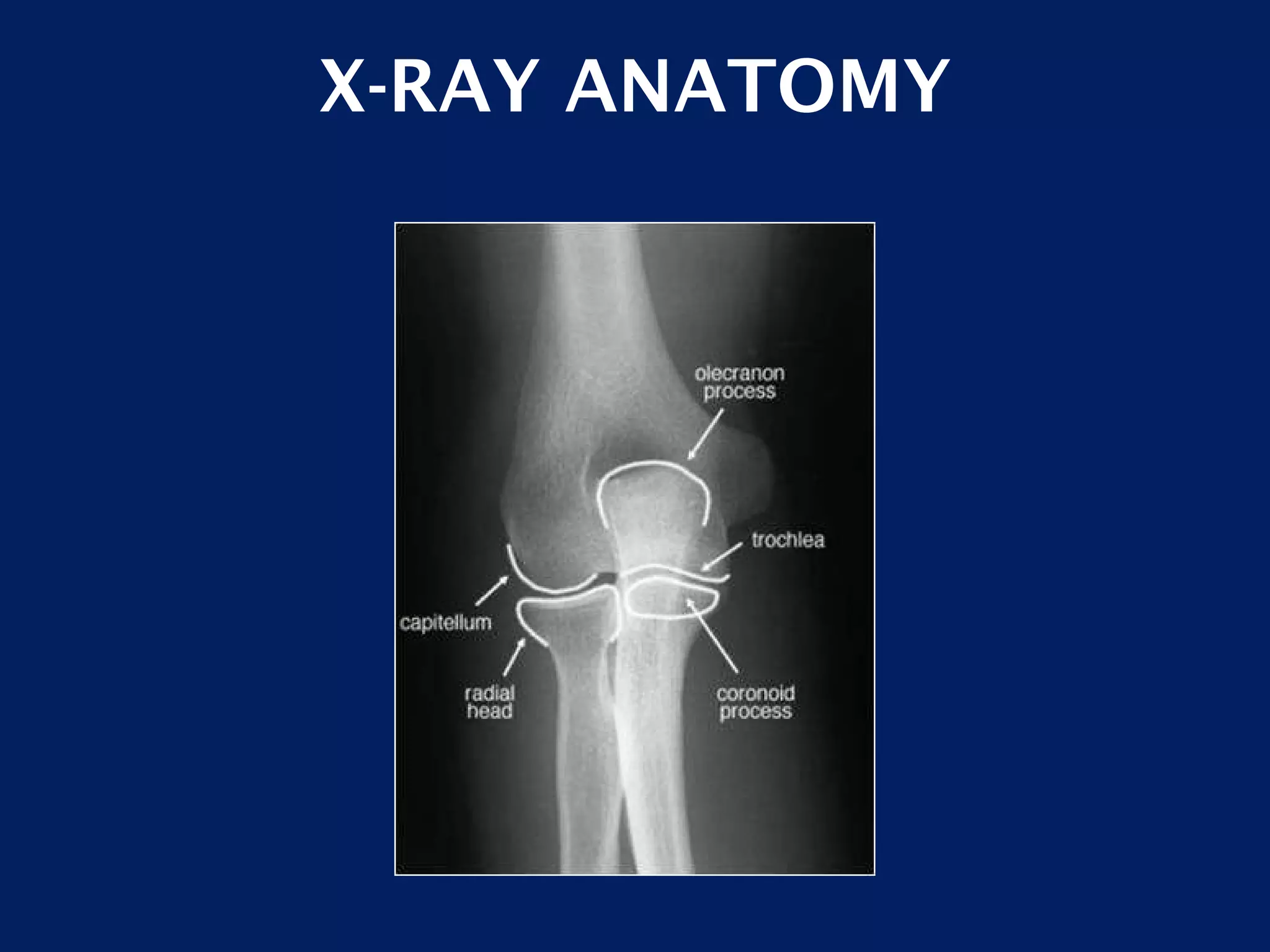 Premier Radiology presentation1 | ODP