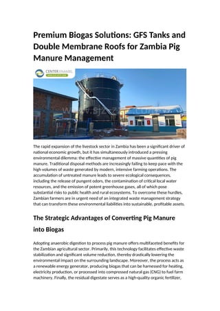 Premium Biogas Solutions-GFS Tanks and Double Membrane Roofs for Zambia ...