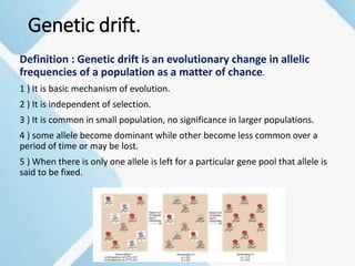 Genetic drift.pptx