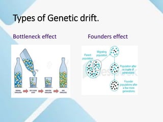 Genetic drift.pptx