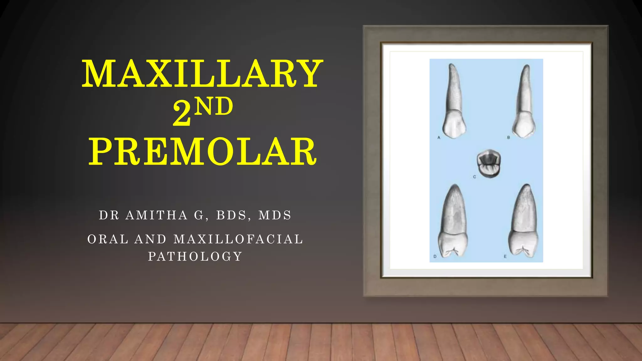 Maxillary Second Premolar | PPTX