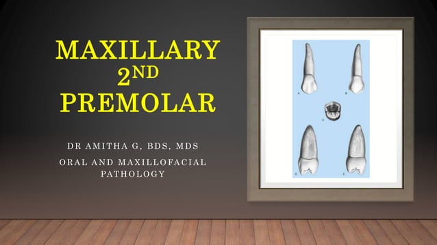 Maxillary Second Premolar | PPTX