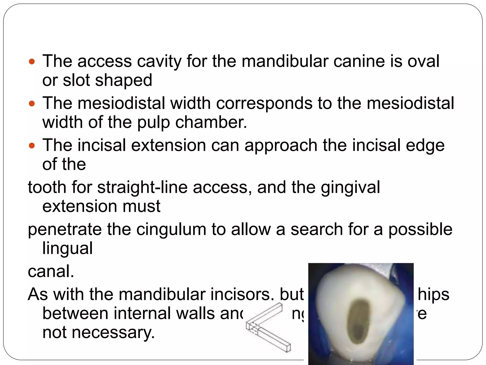 Anatomy of canines and premolars (ENDO) | PPSX