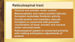 Premotor cortex, brainstem and emotional motor system | PPT