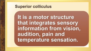 Premotor cortex, brainstem and emotional motor system | PPT