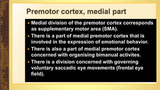 Premotor cortex, brainstem and emotional motor system | PPT