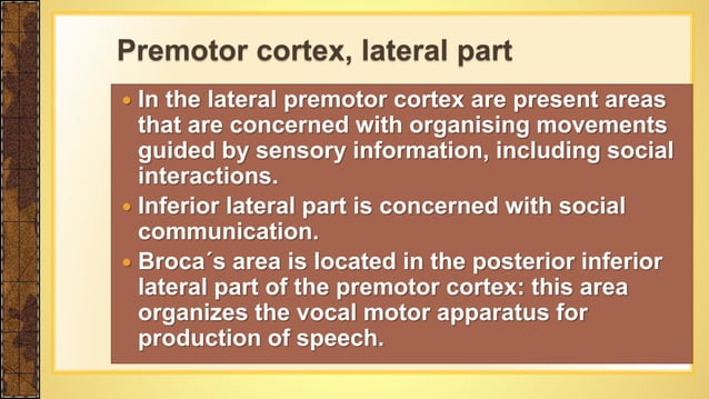 Premotor cortex, brainstem and emotional motor system | PPT
