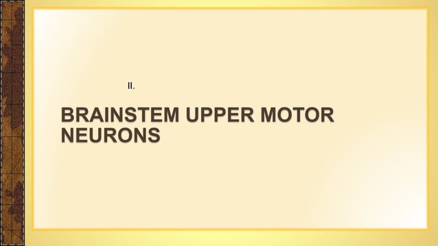 Premotor cortex, brainstem and emotional motor system | PPT