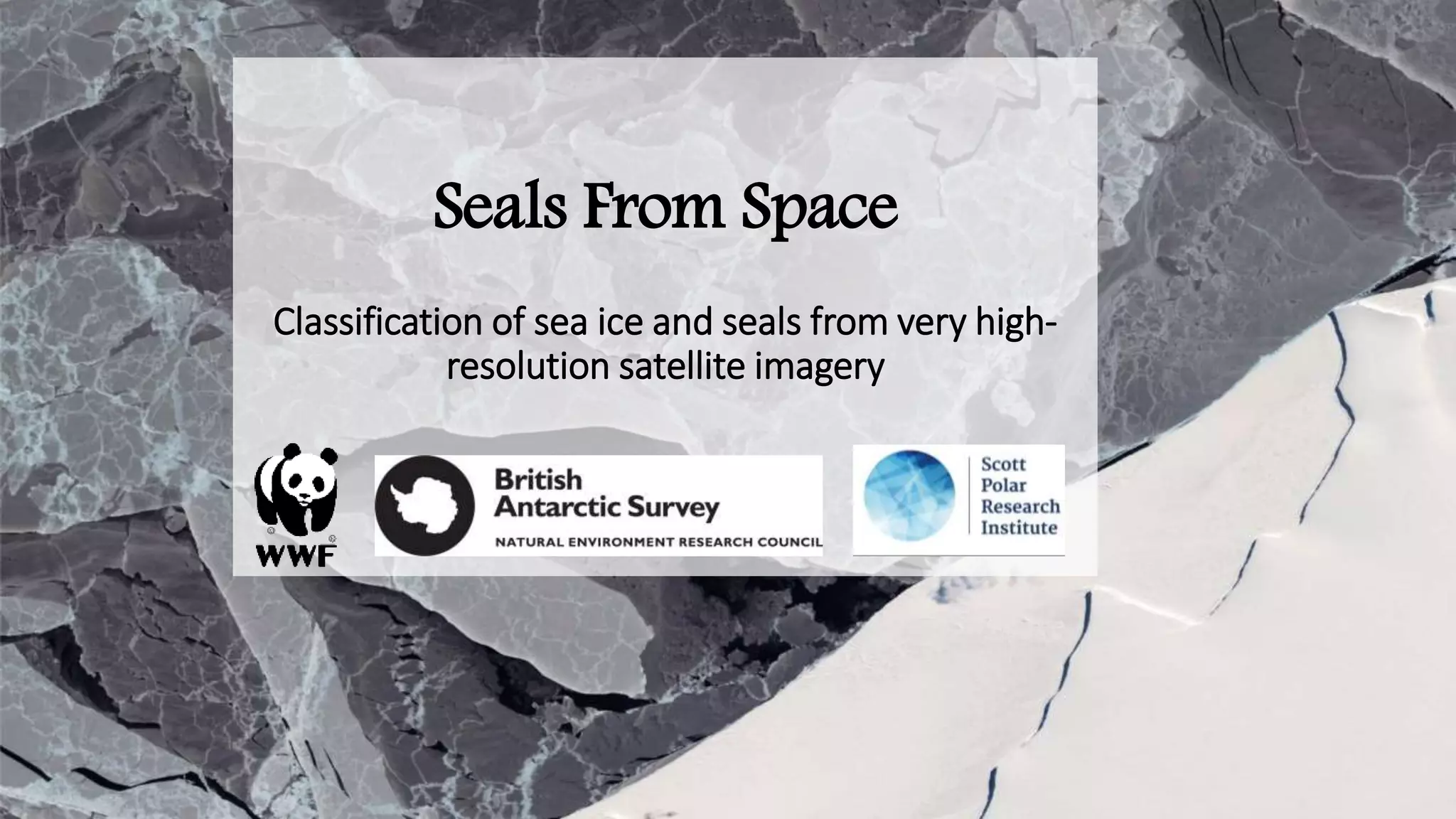 Prem Gill Seals From Space | PPTX