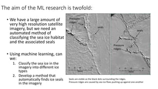 Prem Gill Seals From Space | PPTX