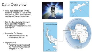 Prem Gill Seals From Space | PPTX