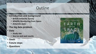 Prem Gill Seals From Space | PPTX