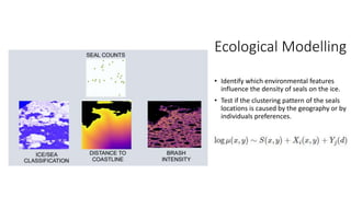 Prem Gill Seals From Space | PPTX