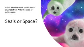 Prem Gill Seals From Space | PPTX
