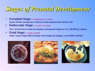 Prenatal | PPT