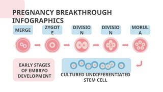 Control prenatal en muejres embarazadas sin aparente aefermedad.pptx