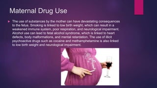 Prenatal development | PPT