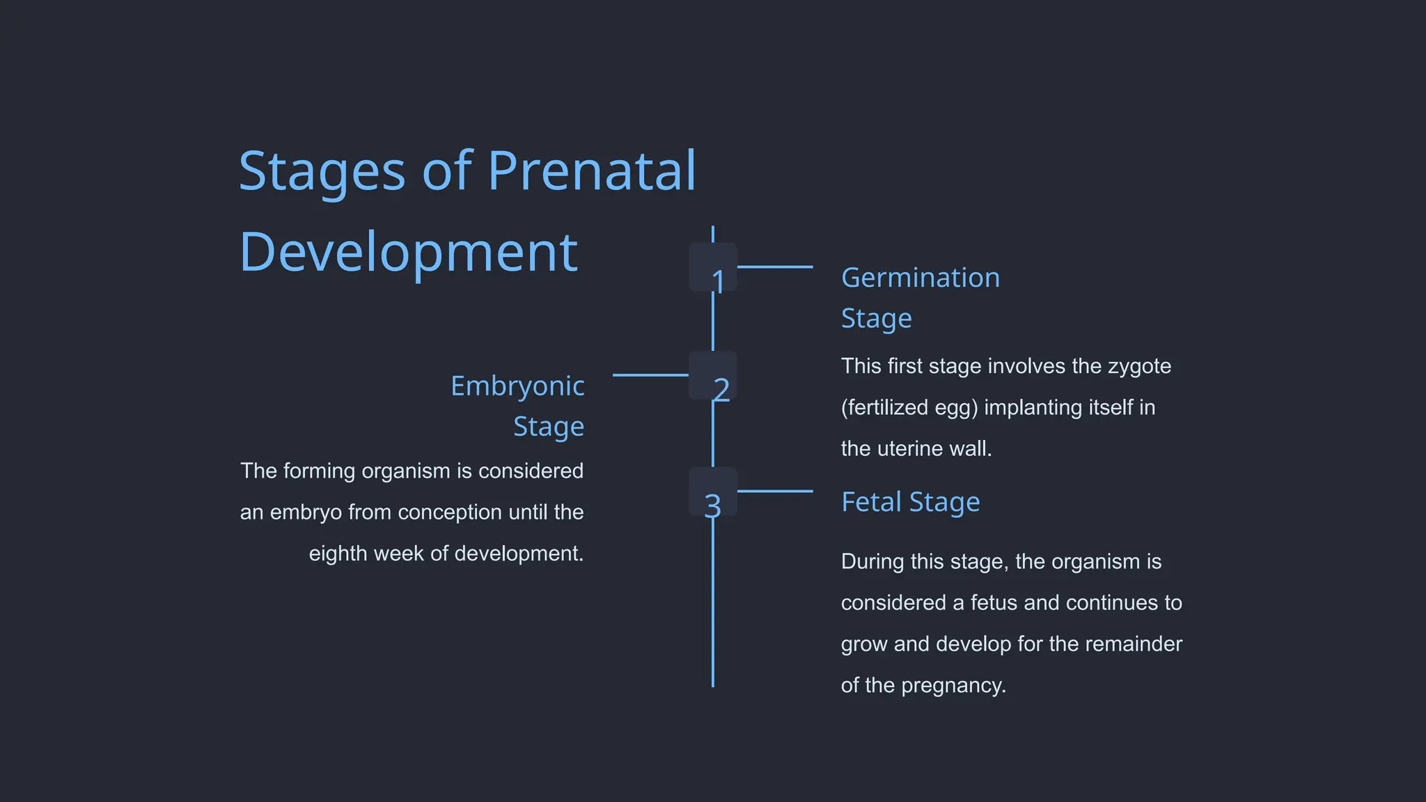 Prenatal-Development-in-Developmental-Psychology (2).pptx