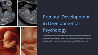Prenatal-Development-in-Developmental-Psychology (2).pptx