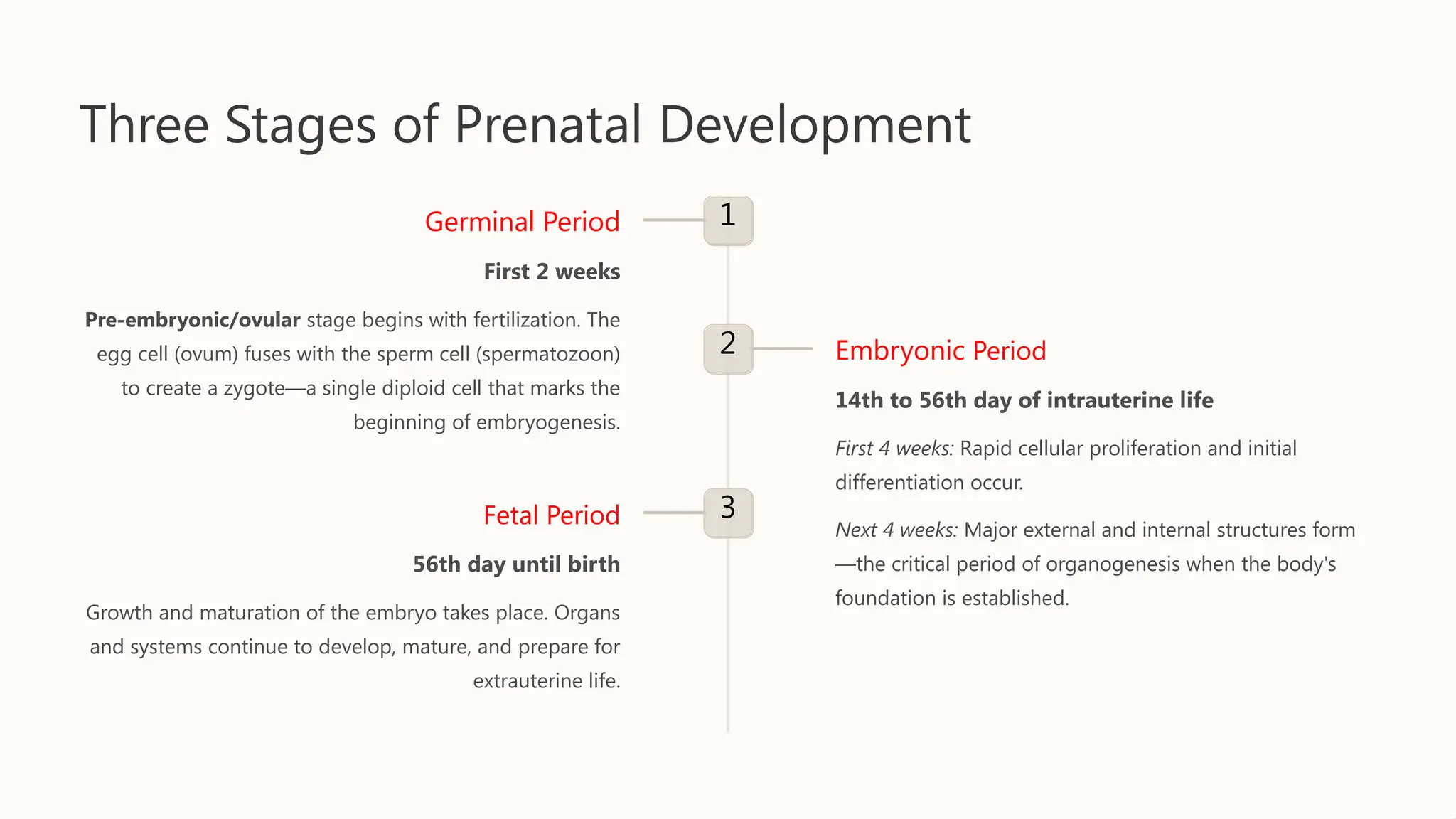 Prenatal-Growth-and-Development - Final Draft.pptx