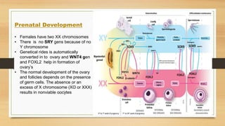 Prenatal And Postnatal Developments Of Gonads.pptx