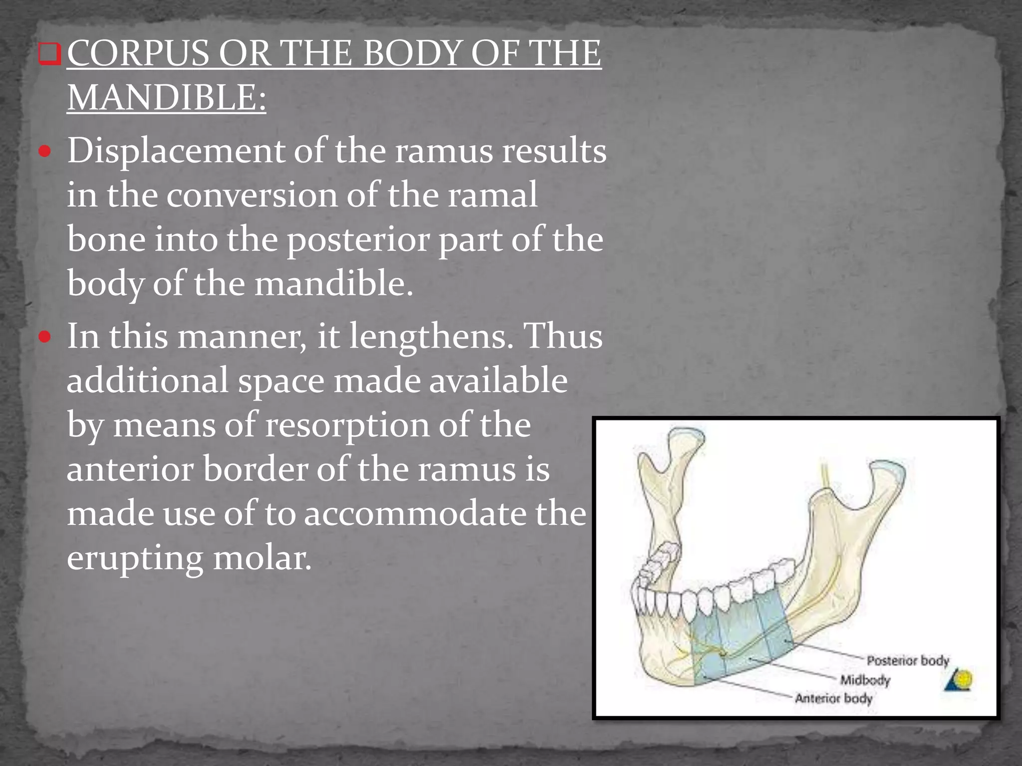 Prenatal and postnatal growth of mandible | PPTX
