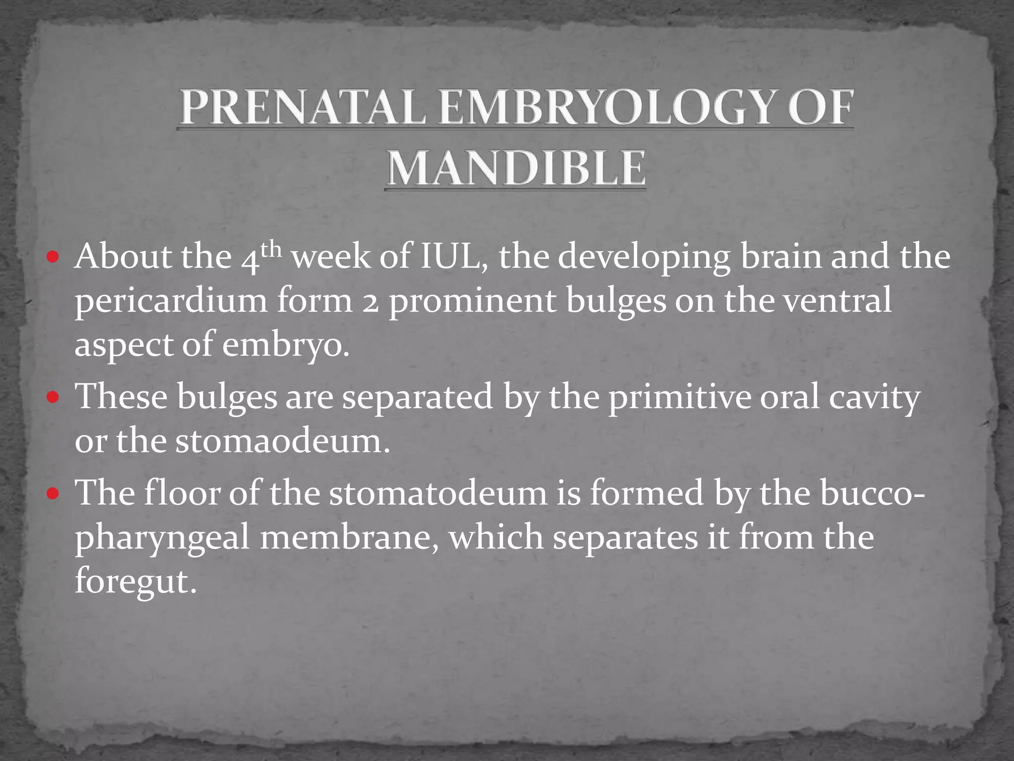 Prenatal and postnatal growth of mandible | PPTX