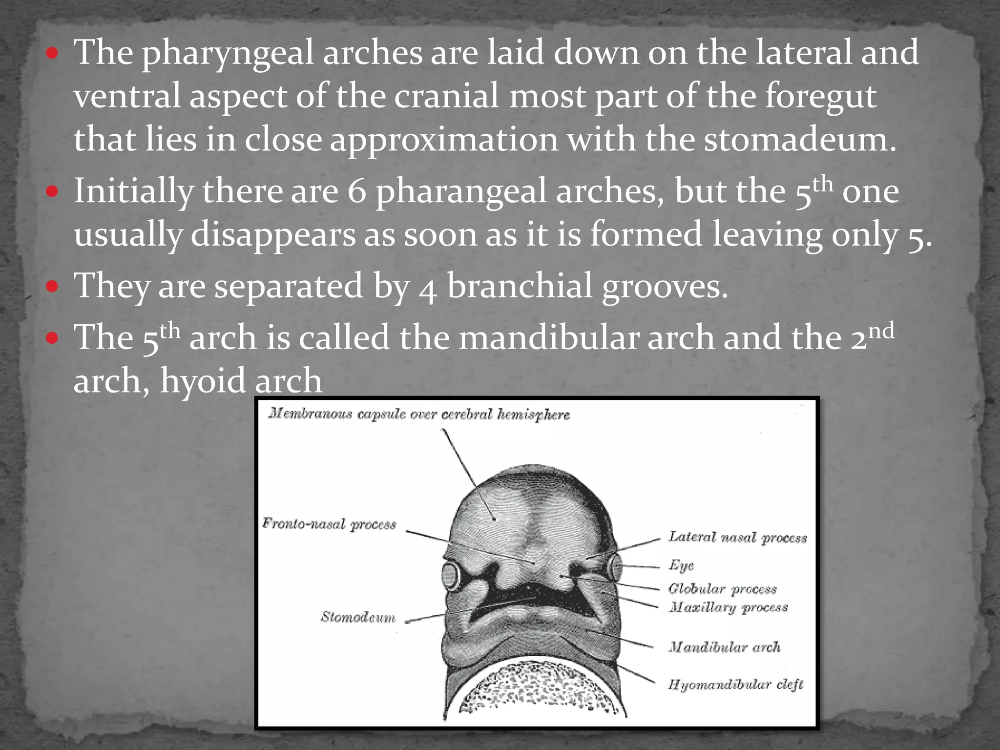 Prenatal and postnatal growth of mandible | PPTX