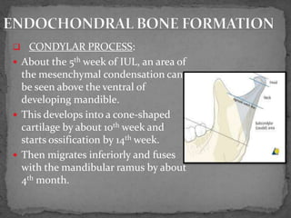 Prenatal and postnatal growth of mandible | PPTX
