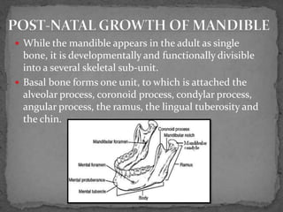 Prenatal and postnatal growth of mandible | PPTX