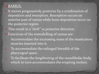 Prenatal and postnatal growth of mandible | PPTX