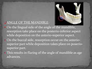 Prenatal and postnatal growth of mandible | PPTX