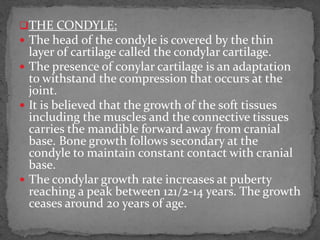Prenatal and postnatal growth of mandible | PPTX