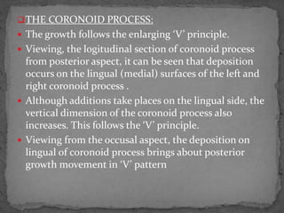 Prenatal and postnatal growth of mandible | PPTX