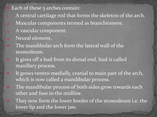 Prenatal and postnatal growth of mandible | PPTX