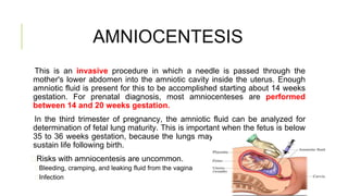Prenatal and preimplantation diagnosis 22.04.2021 | Infertility ...