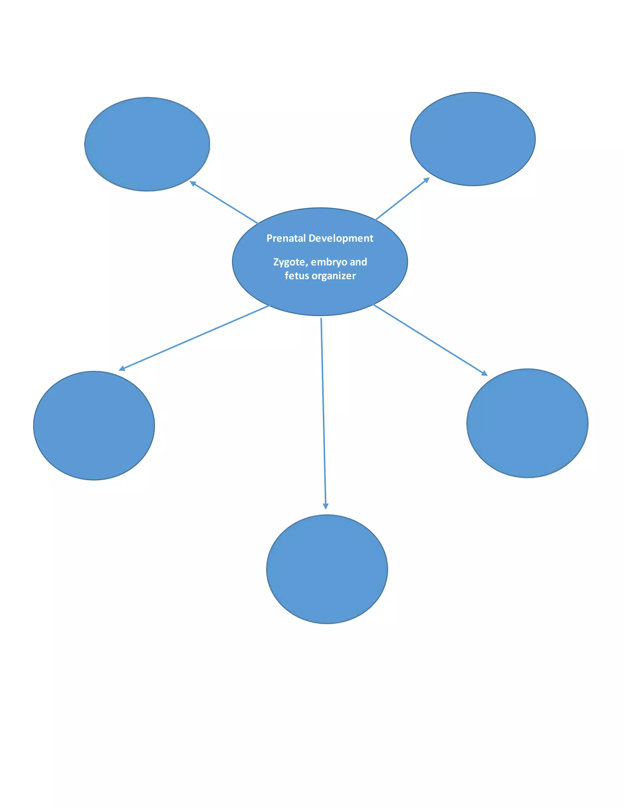 prenatal concept map.docx