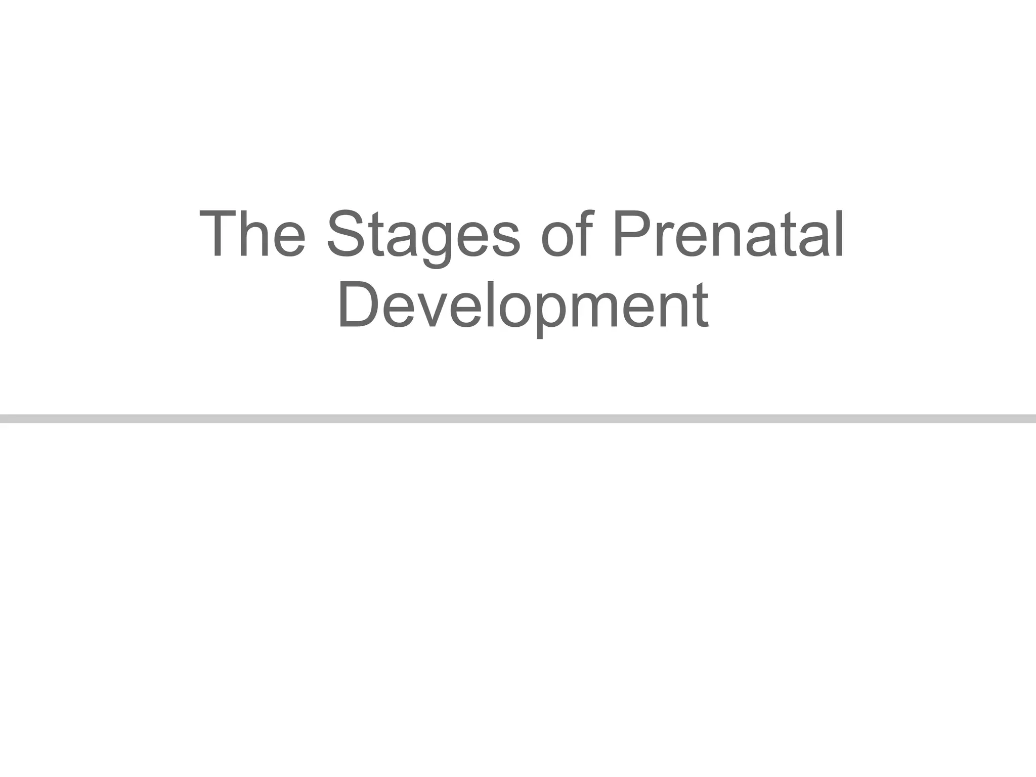 Prenatal Development | PPT