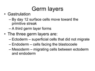 Prenatal Development | PPT